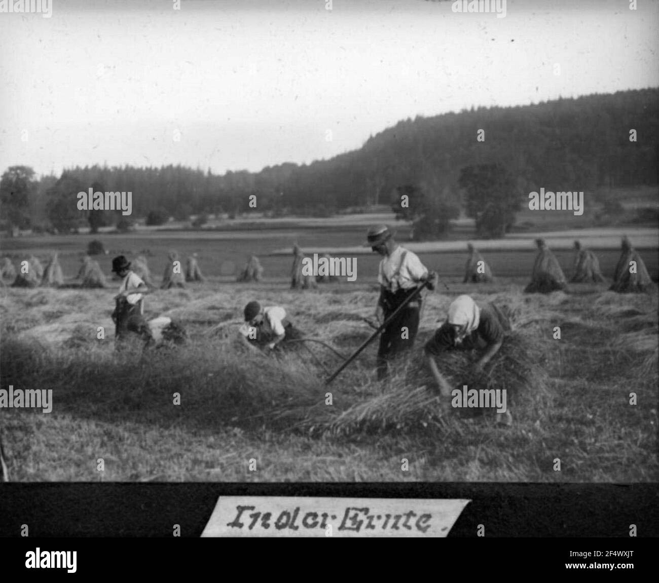 Work fields harvest festival hi-res stock photography and images - Alamy