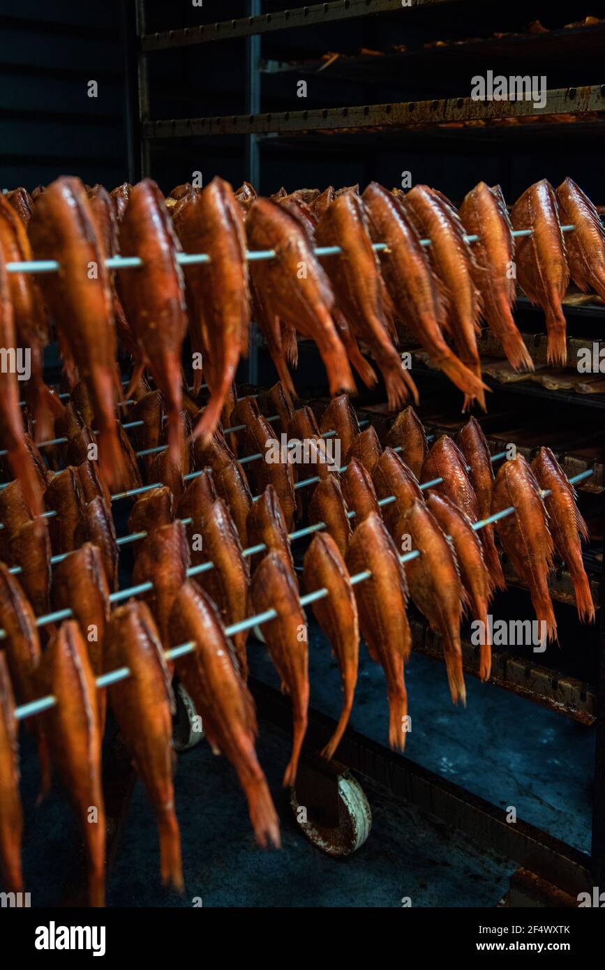 Smoking sea bass fish in smokehouse box-smoked fish production concept ...