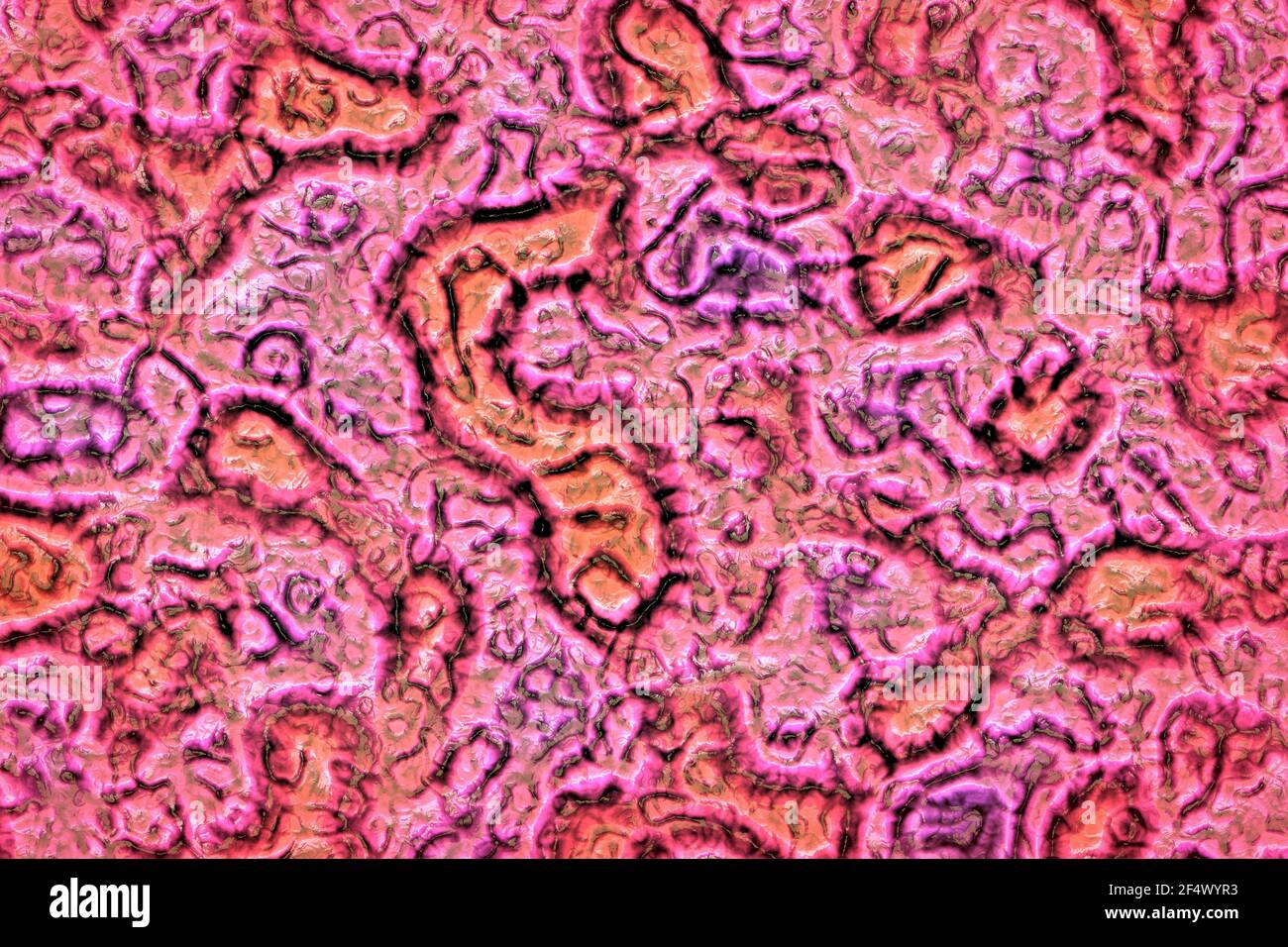 creative modern biological tissue computer graphic backdrop ...