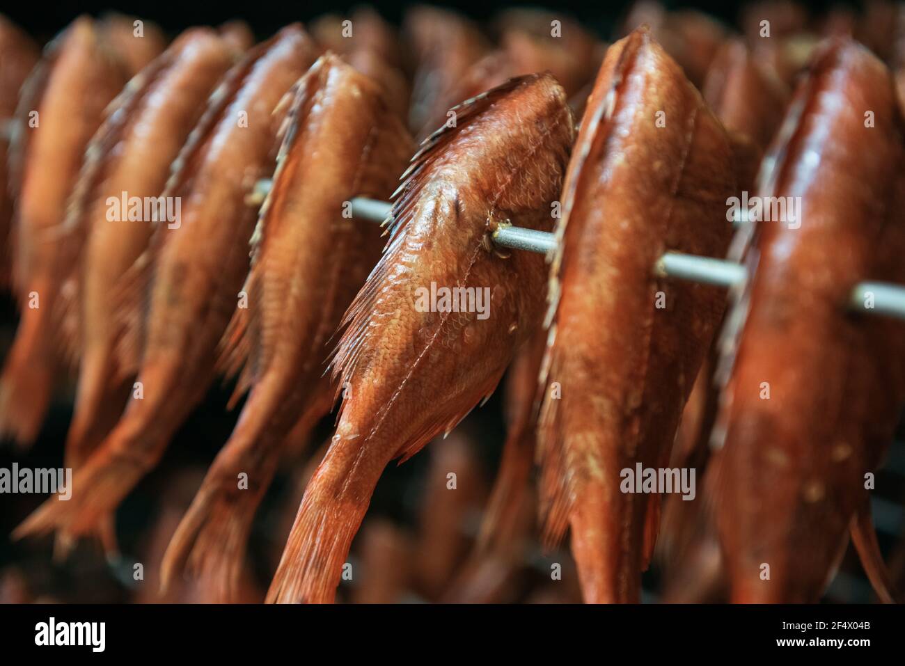 Smoking sea bass fish in smokehouse box-smoked fish production concept ...