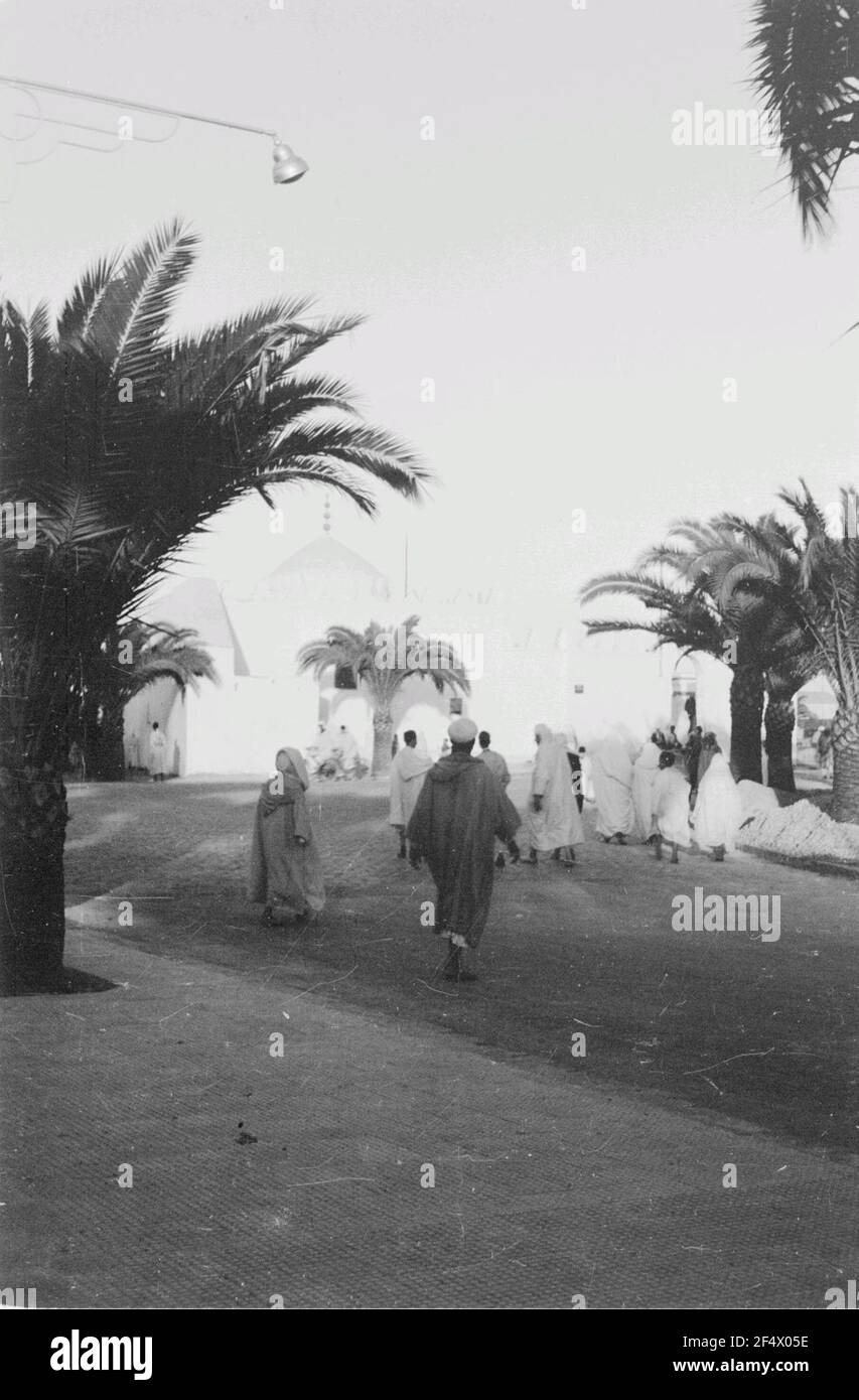 Travel photos Morocco. Street picture with palm trees. In the ...