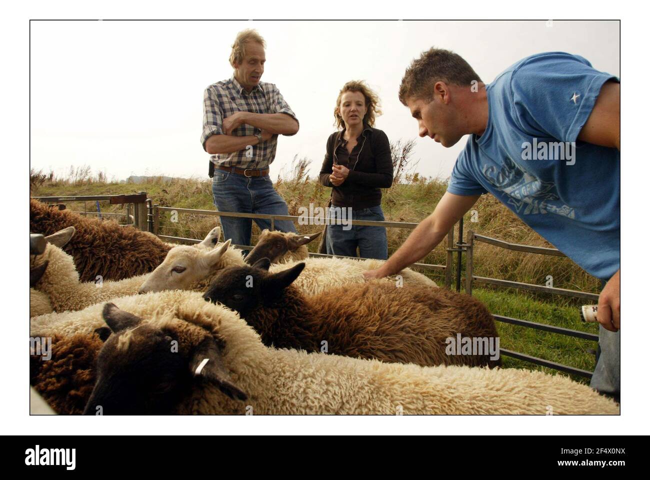 Duchy home farm Cut Out Stock Images & Pictures - Alamy