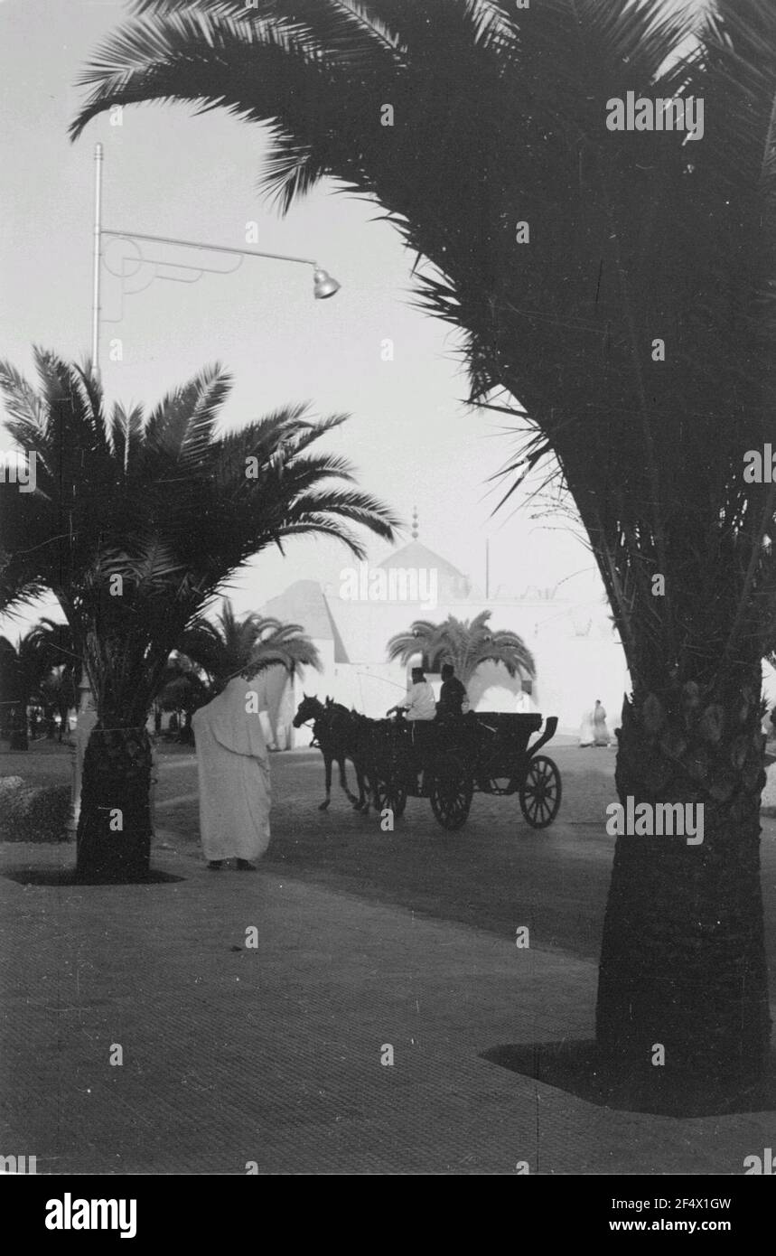 Travel photos Morocco. Street picture with palm trees. In the ...