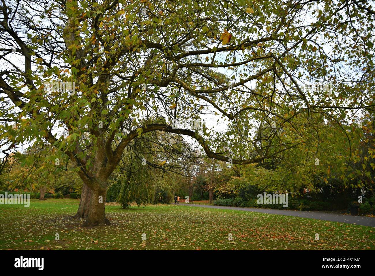 Phoenix park castle dublin hi-res stock photography and images - Alamy
