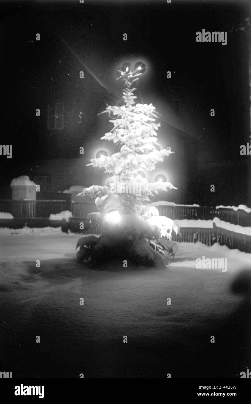 Christmas tree with electric lighting Stock Photo - Alamy