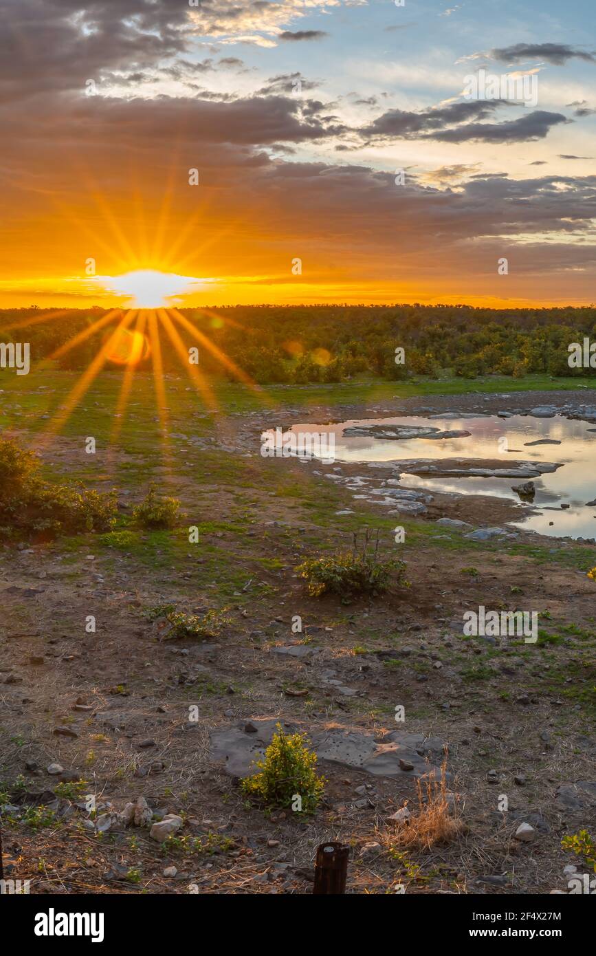 Moringa waterhole Halali camp in Etosha national park at sunset in ...