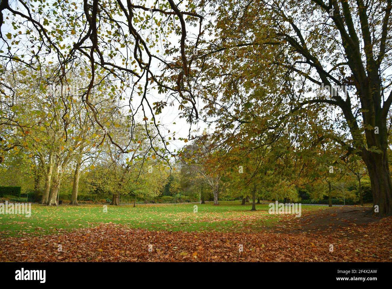 Autumn landscape at Phoenix Park in Dublin, Ireland Stock Photo - Alamy