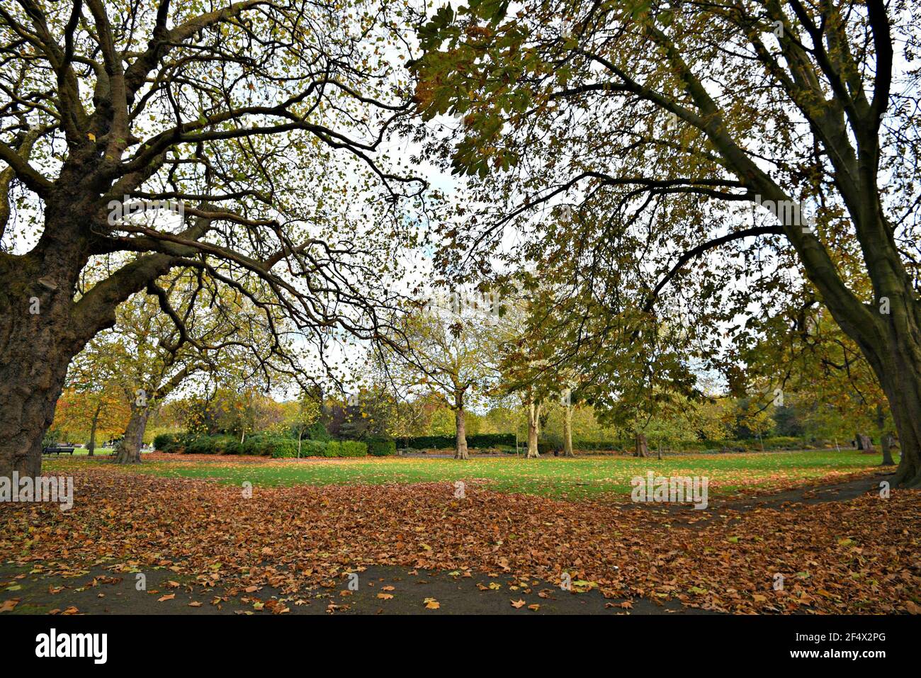 Phoenix park castle dublin hi-res stock photography and images - Alamy