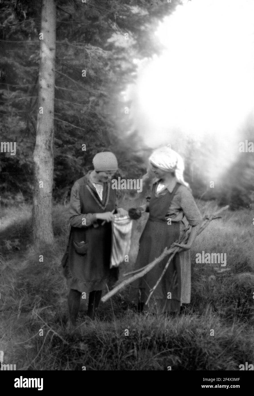 Collect women at mushrooms Stock Photo - Alamy