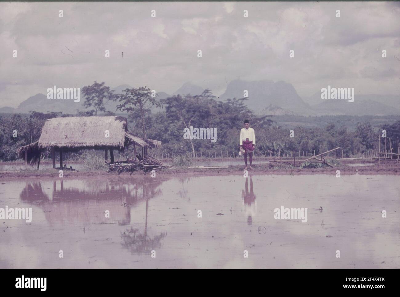 Travel photos Asia. Bauer next to a hut on a rice field Stock Photo - Alamy