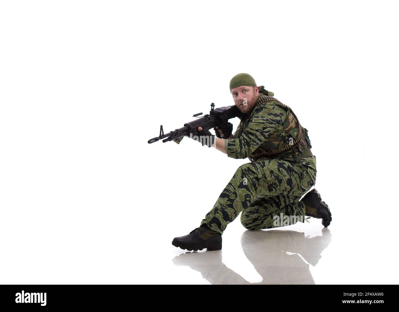 Man actor in the form of an American fur seal posing with a machine gun ...
