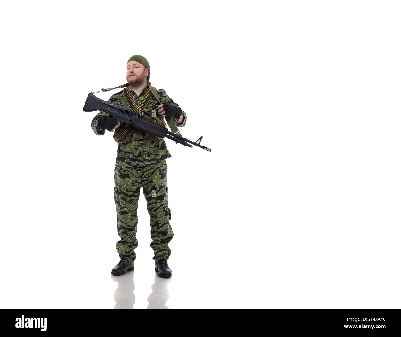 Man actor in the form of an American fur seal posing with a machine gun ...