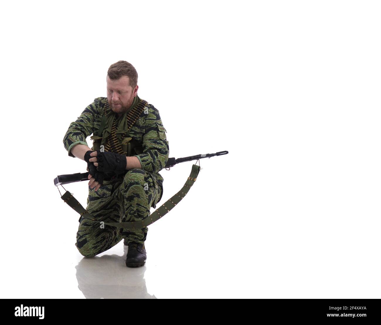 Man actor in the form of an American fur seal posing with a machine gun ...