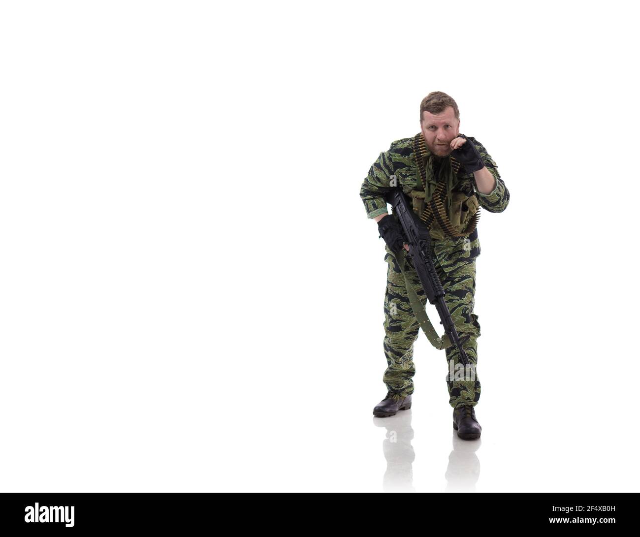 Man actor in the form of an American fur seal posing with a machine gun ...