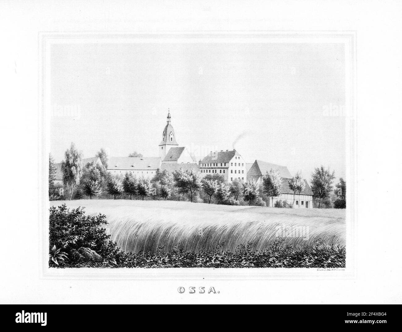 Marrow bone Black and White Stock Photos & Images - Alamy