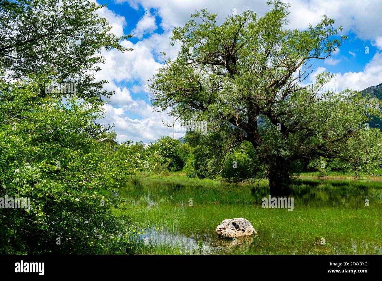 Matese park hi-res stock photography and images - Alamy