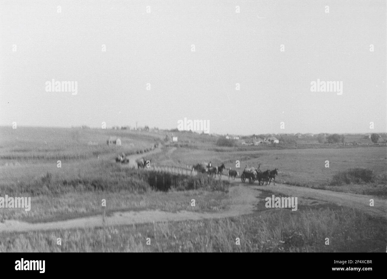 Second World War. Soviet Union. Landscape with horse fuses. In the ...
