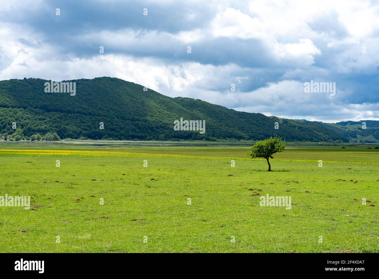 Matese park hi-res stock photography and images - Alamy