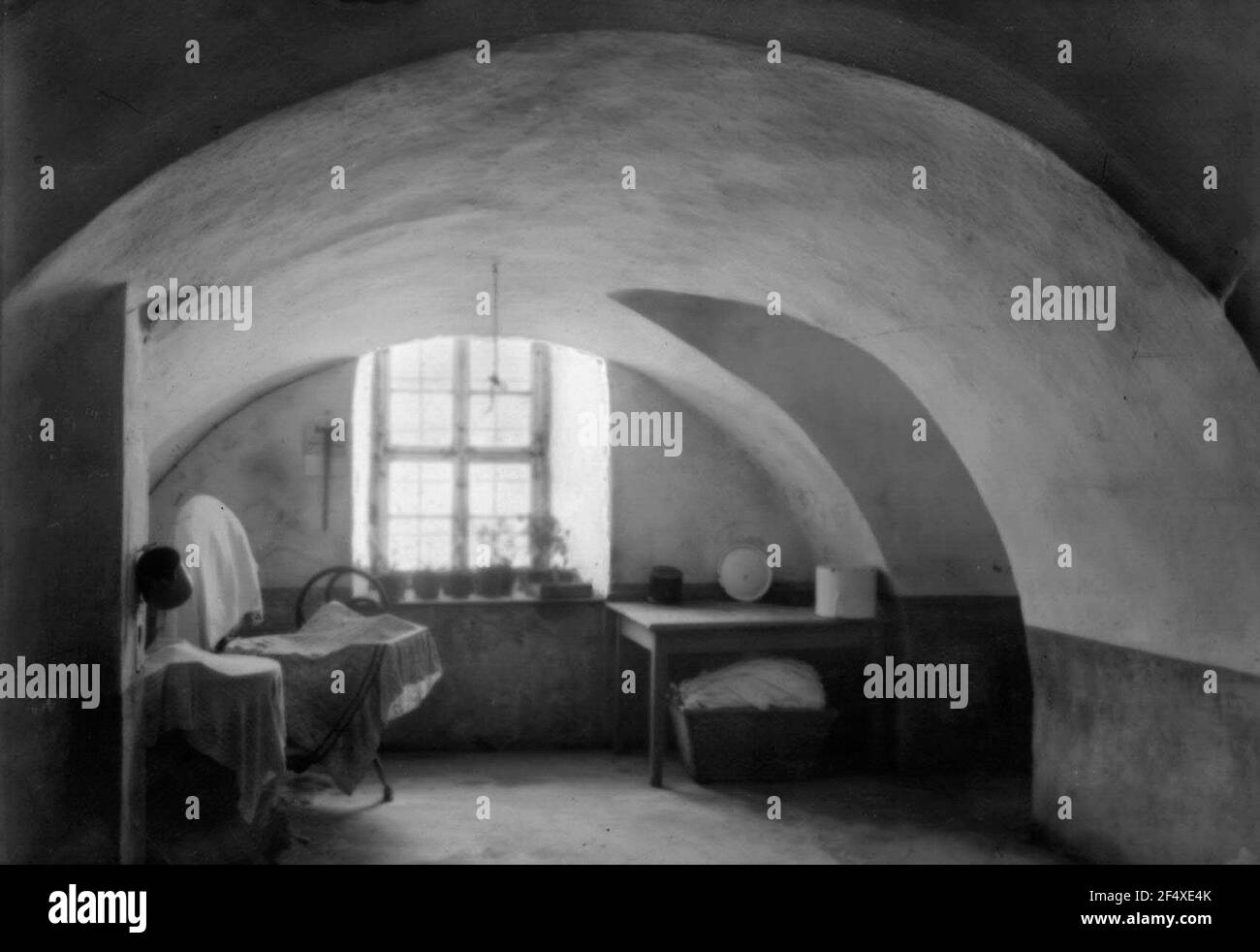 Celler room in the forest Stock Photo - Alamy
