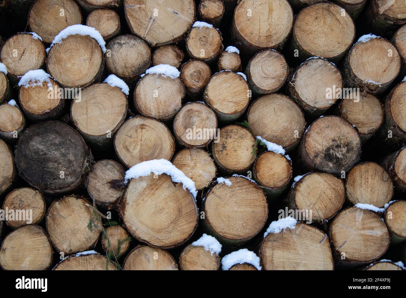 Wood stacking hi-res stock photography and images - Alamy