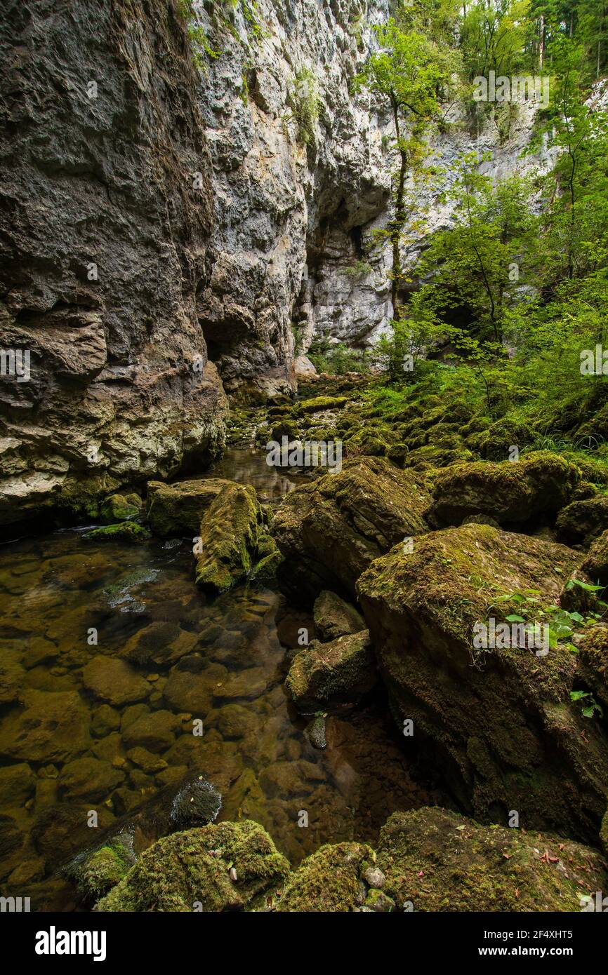 Rak Skocjan valley, Inner Carniola, Slovenia Stock Photo - Alamy