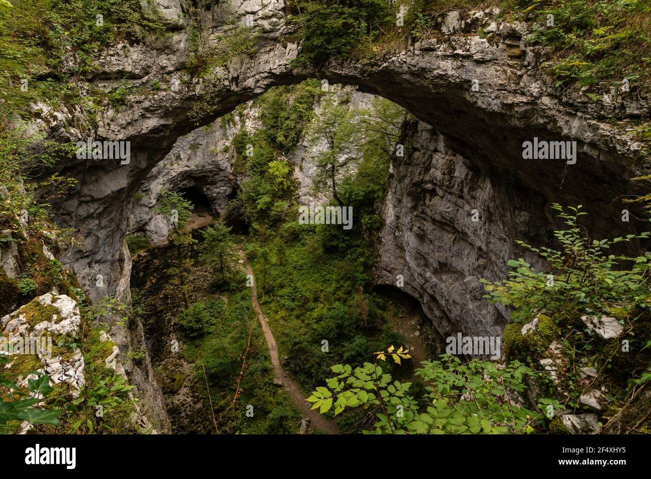 Inner carniola hi-res stock photography and images - Alamy