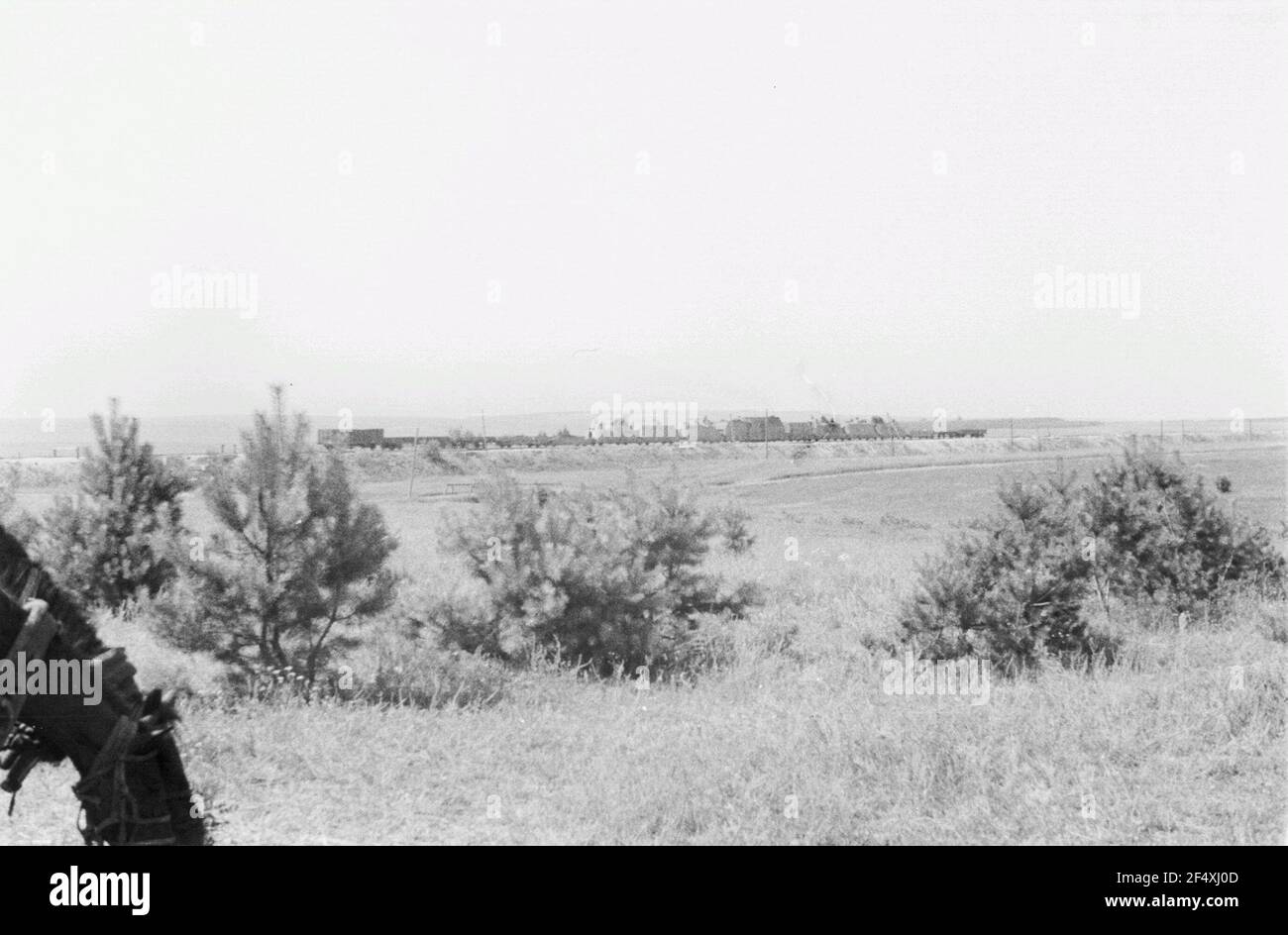 Second World War. Soviet Union. Landscape with freight train in the ...