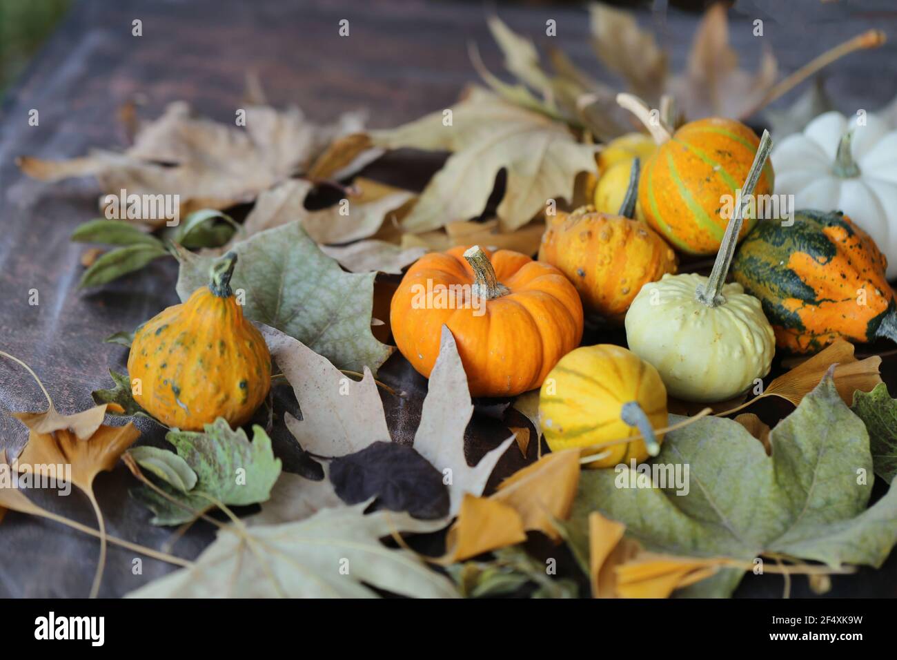 Healthy floral hi-res stock photography and images - Alamy