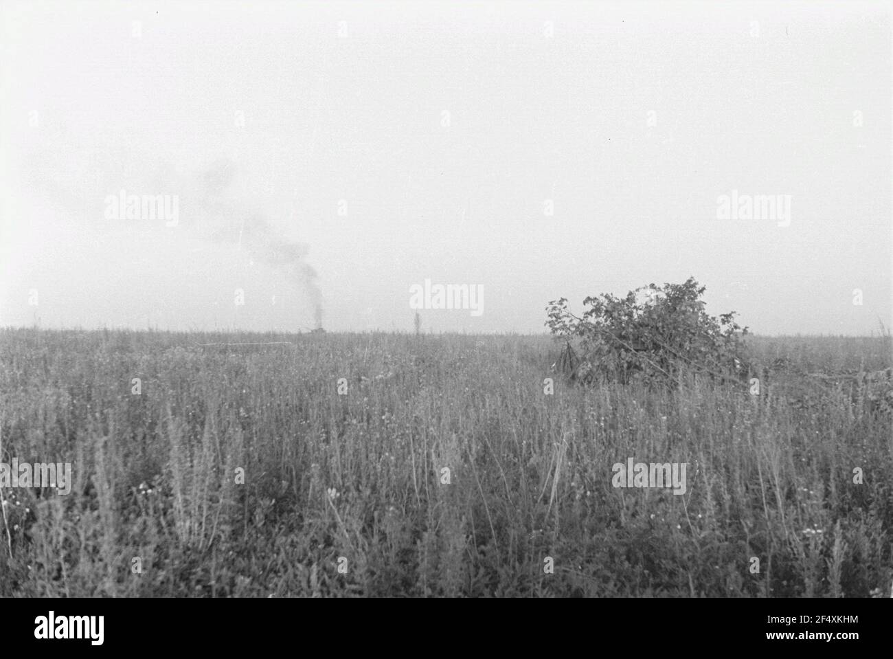 Second World War. After the fighting. Russia, Oblast Tver. Gras plane ...