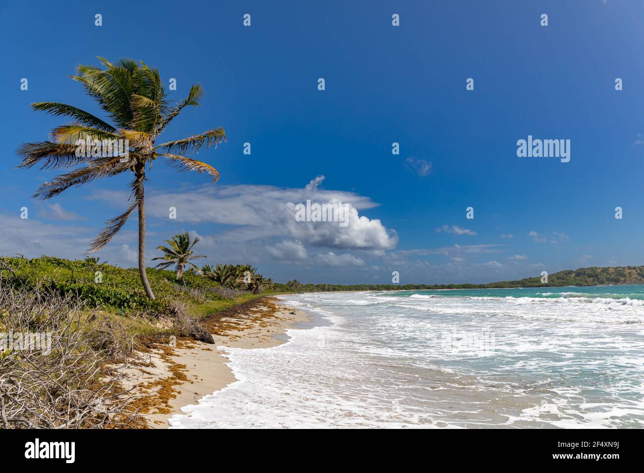 Anse Trabaud beach, Sainte-Anne, Martinique, French Antilles Stock ...
