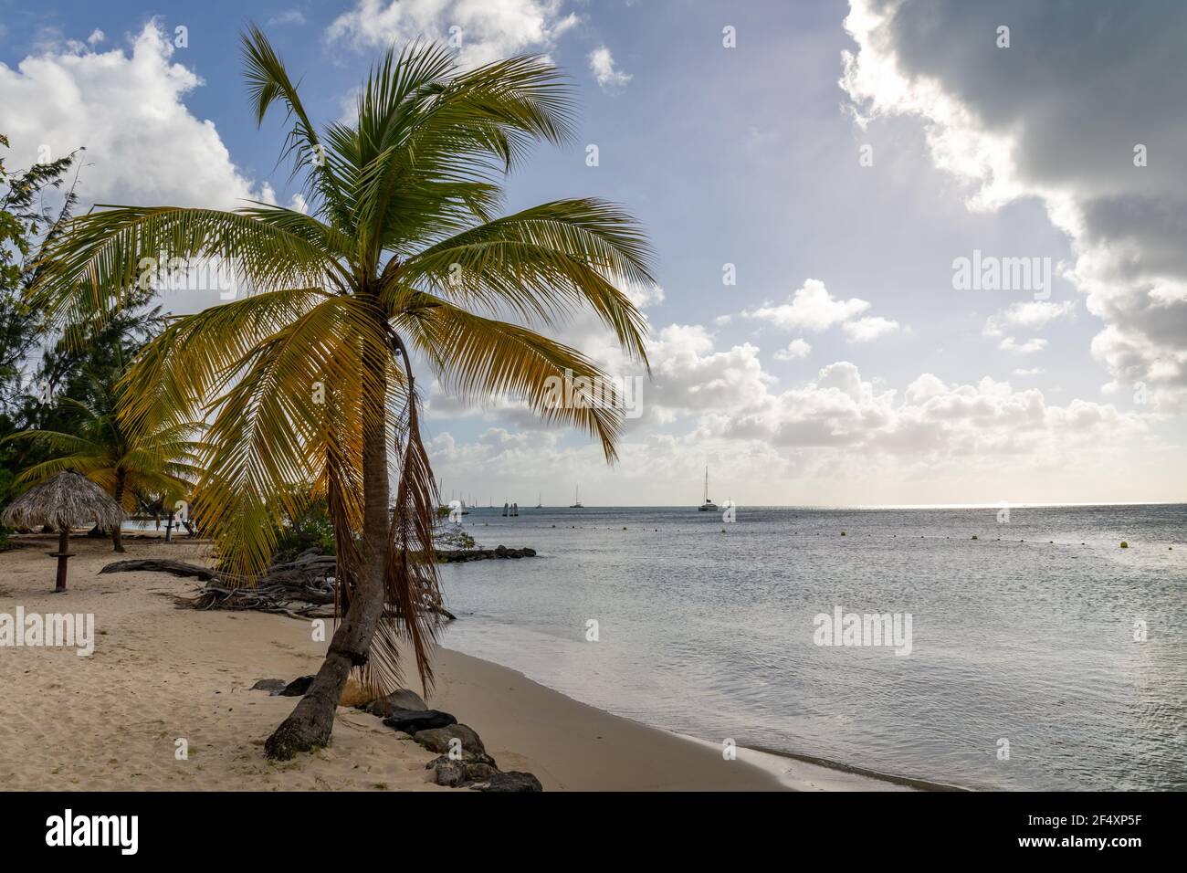 Pointe Marin beach, Sainte-Anne, Martinique, French Antilles Stock ...
