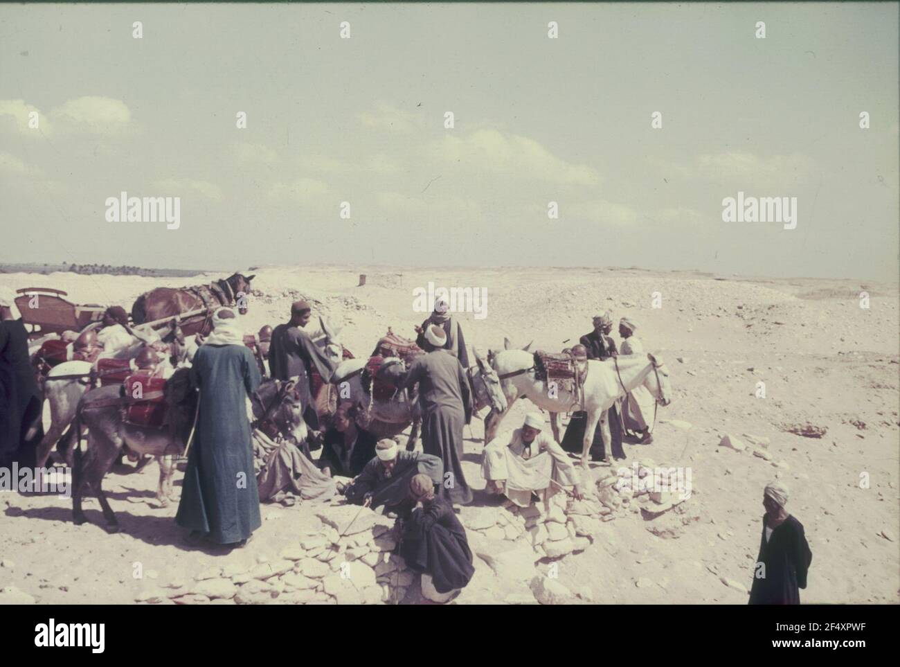 Travel photos Egypt. Caravan in the desert Stock Photo - Alamy