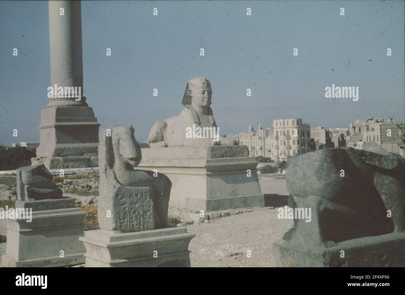 Pompeius column hi-res stock photography and images - Alamy