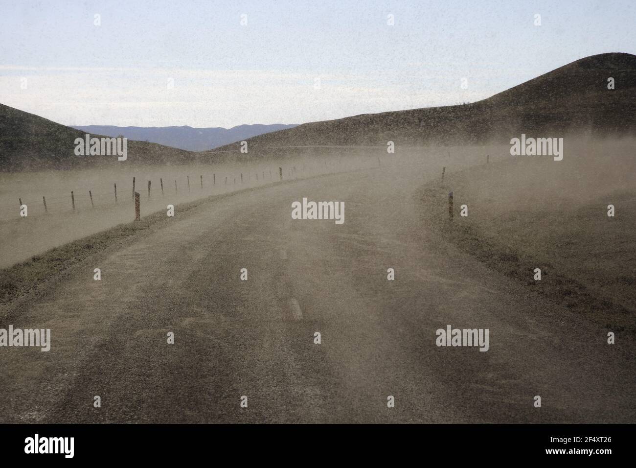 Midges swarmingTanytarsus gracilentus Lake Myvatn, Iceland IN001033 ...