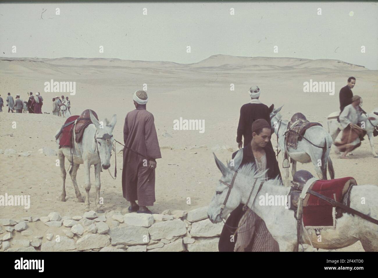 Travel photos Egypt. Caravan in the desert Stock Photo - Alamy