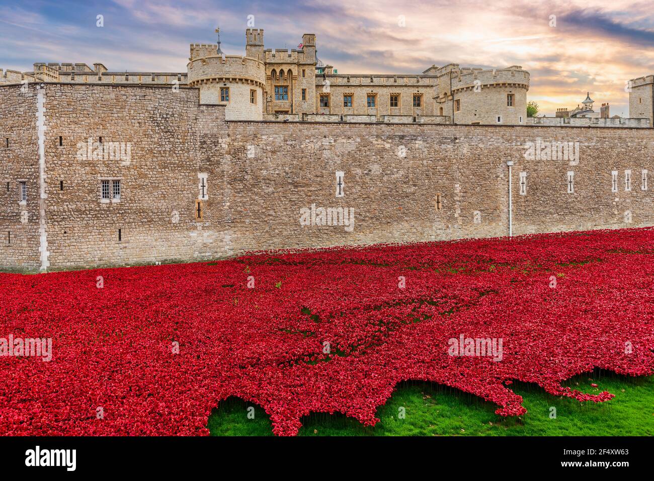Ww1 soldier in poppy field hi-res stock photography and images - Alamy