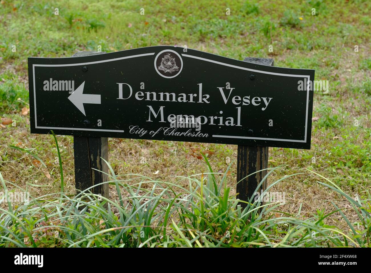 Peppermint Trees at Hampton Park and park visitors events and ...