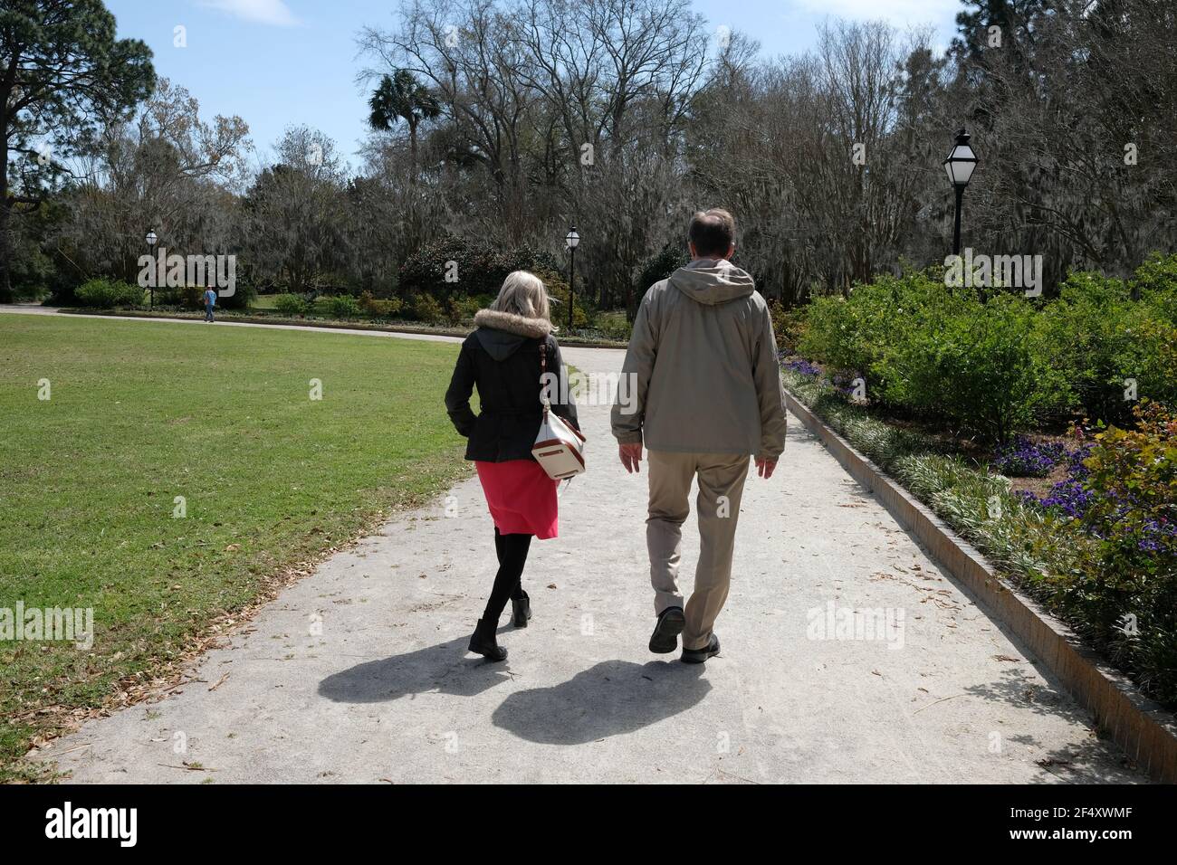 Peppermint Trees at Hampton Park and park visitors events and ...