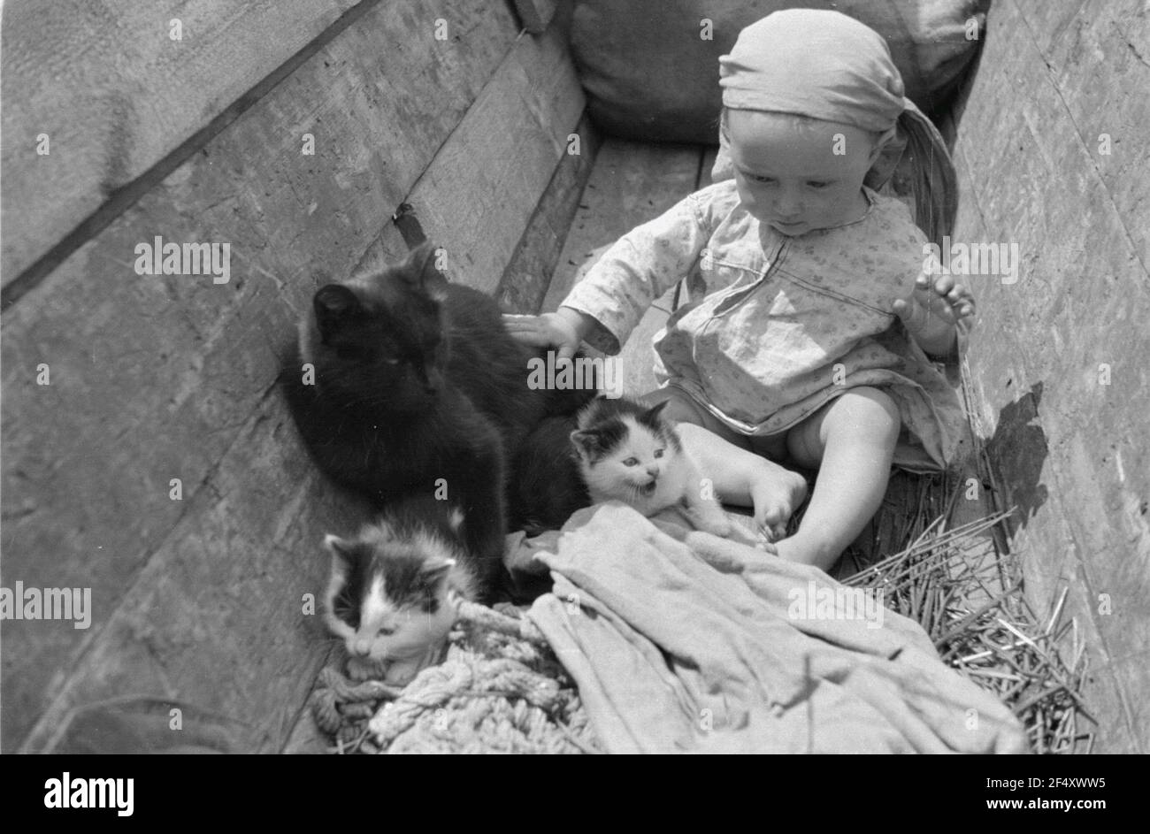 Second World War. For billeting. Soviet Union. In a village. Toddler ...