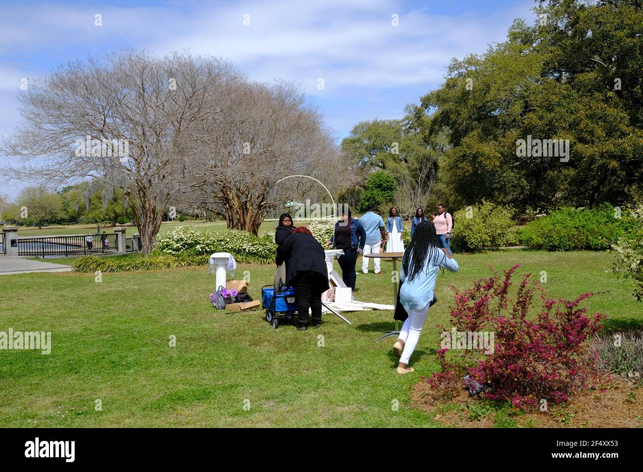 Peppermint Trees at Hampton Park and park visitors events and ...