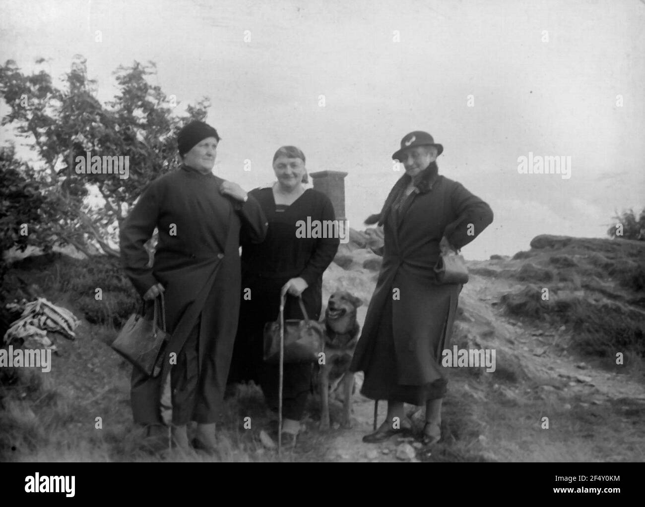 Early 1900s shepherd and sheep hi-res stock photography and images - Alamy