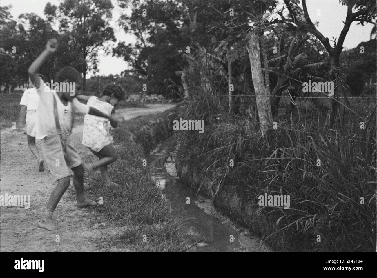Travel photos Brazil. Rio de Janeiro. Children in stone throwing in a ...