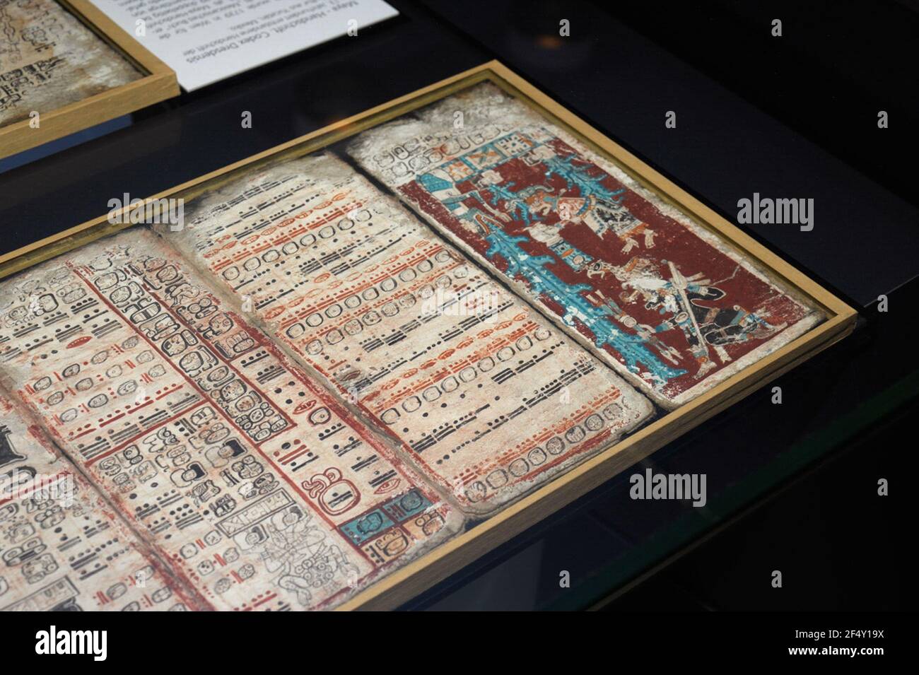 Codex maya hi-res stock photography and images - Alamy