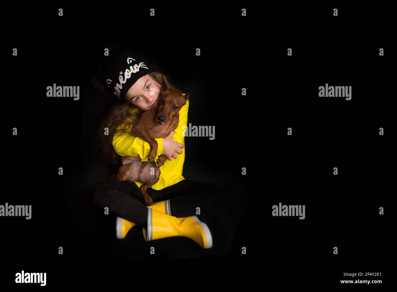 A cute little toddler girl hugs her dog, the Miniature Pinscher. Studio ...