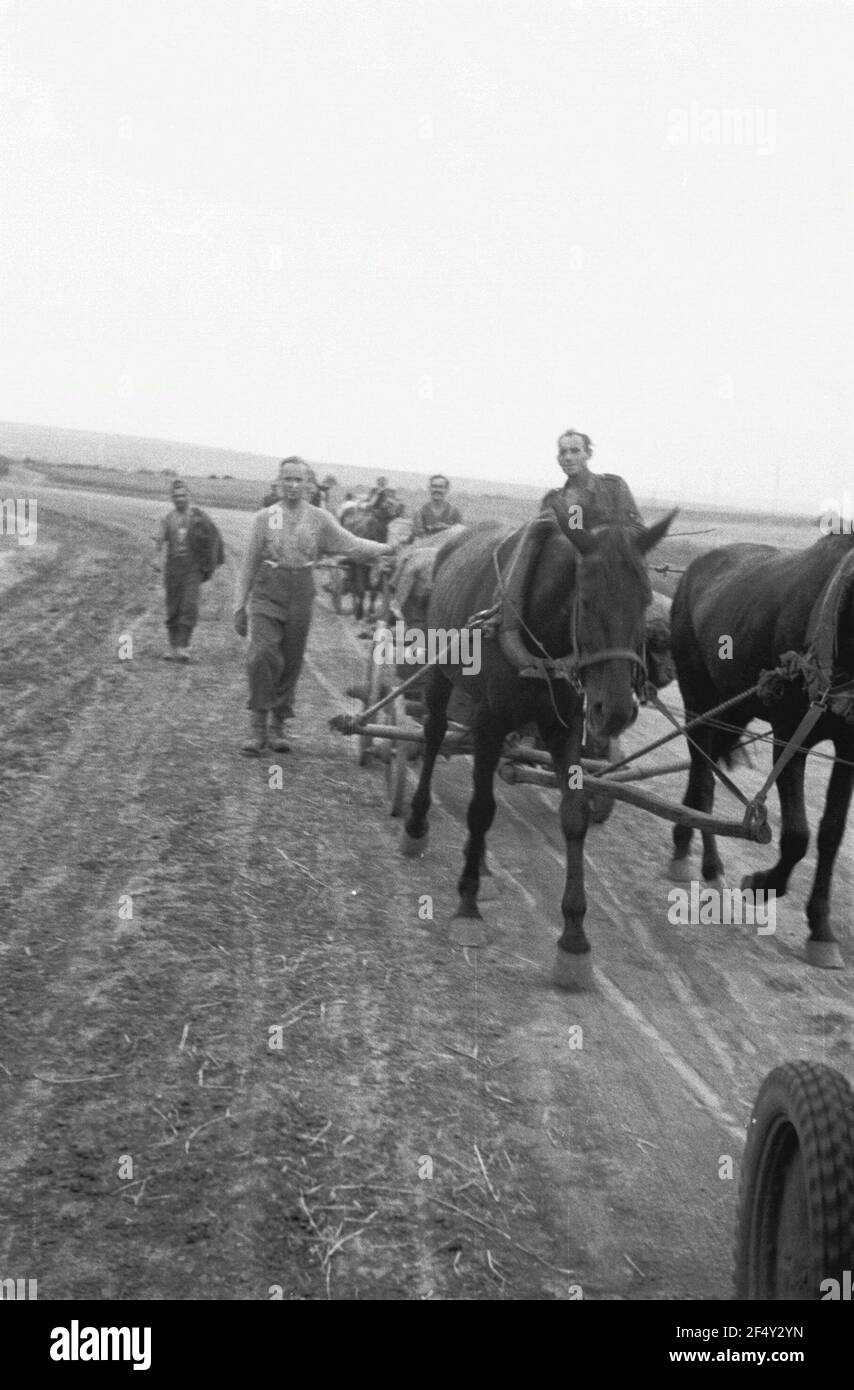 Second World War. Front pictures. Soviet Union. Convoy of the German ...