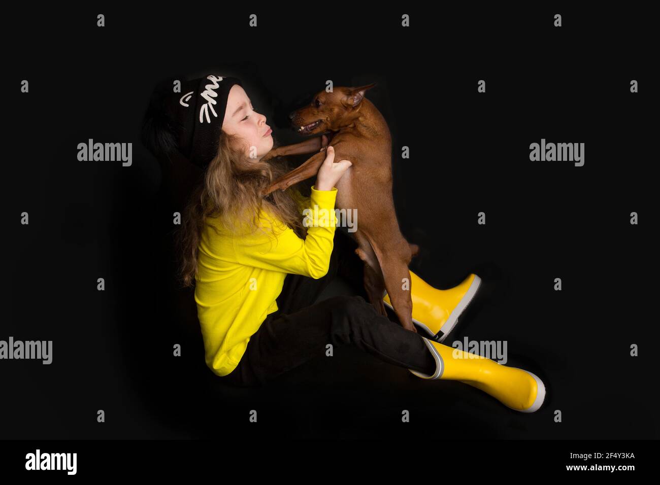 A cute little toddler girl hugs her dog, the Miniature Pinscher. Studio ...