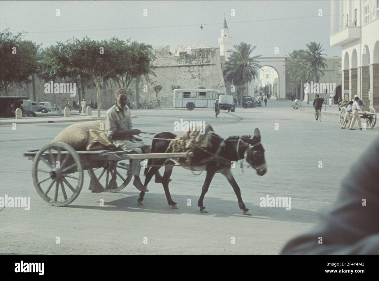 Travel photos. Libya. Tripoli. Road picture with donkey carts. View to ...