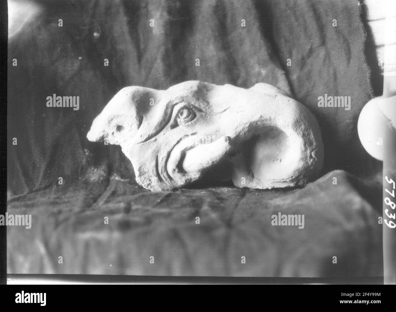 Elephant central Black and White Stock Photos & Images - Alamy