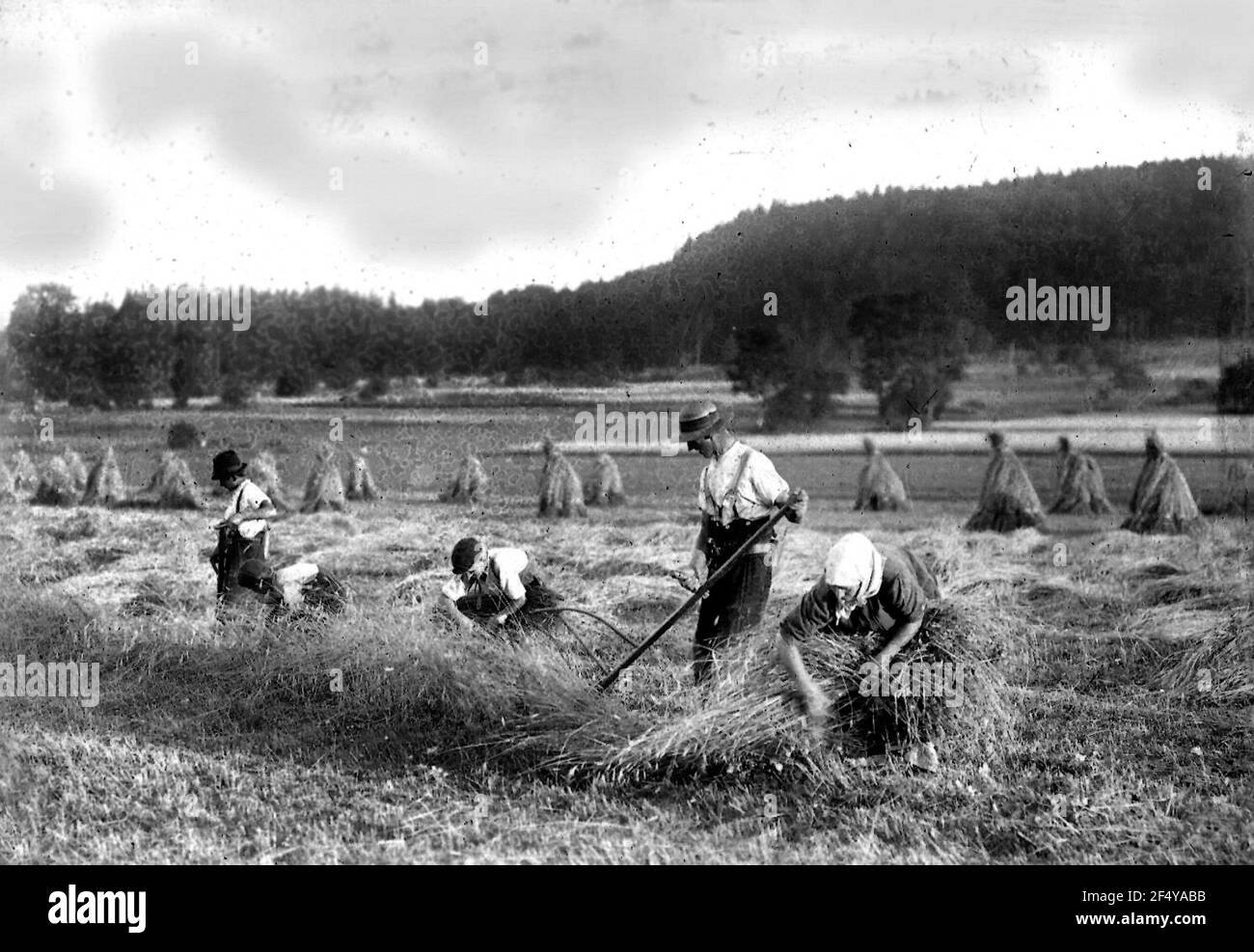 Stone farming tools hi-res stock photography and images - Alamy