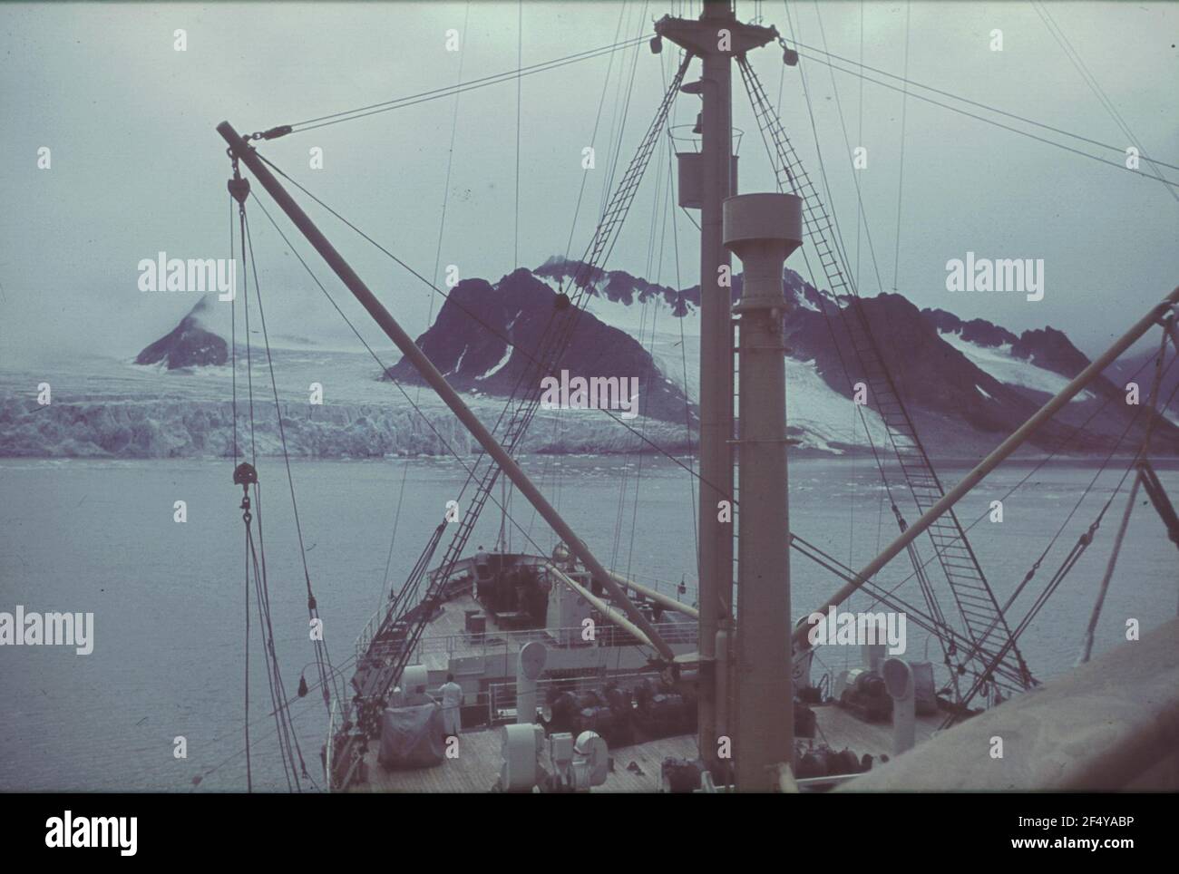 Cruise ship "Reliance Stock Photo - Alamy